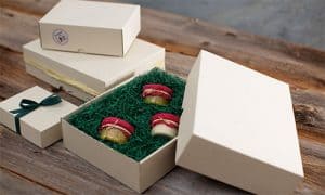 Graspapier | nachhaltig verpacken mit Grasfasern | packVerde Blog