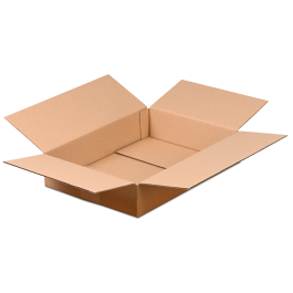Faltkarton für DHL Kleinpaket online kaufen | packVerde